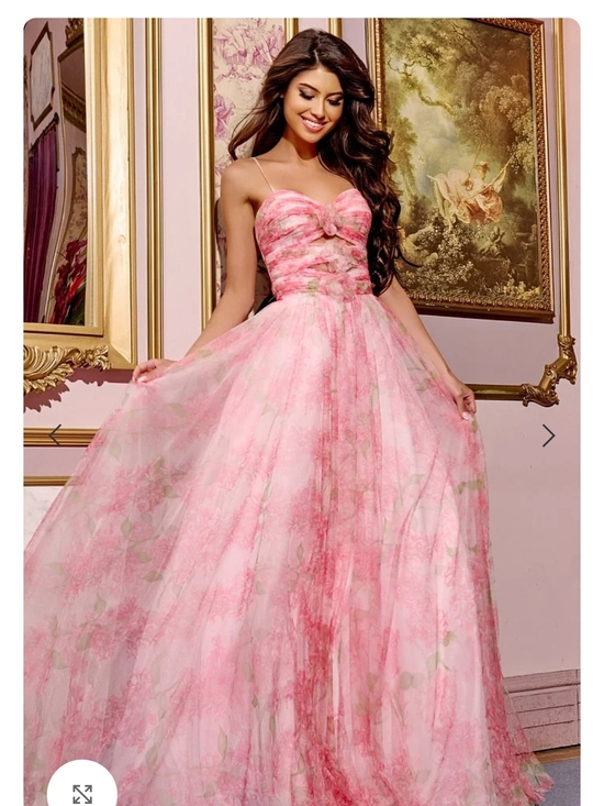 Jovani | Dresses | Nwt Jovani Floral Print Cutout Tulle Gown 4402a Size ...